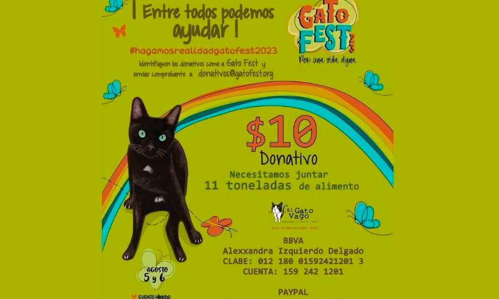Gato Fest 2023: con festival apoyan a michis de albergues