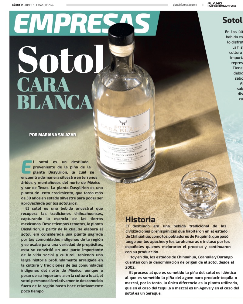 Sotol, Cara Blanca