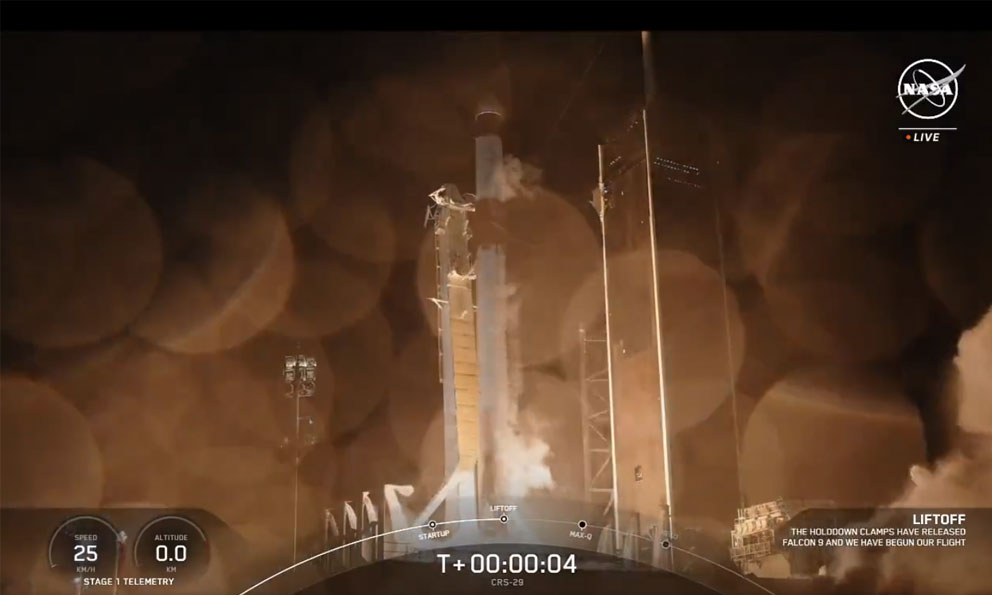 La NASA lanza cohete 'Dragón' con semillas que dormarán parte de de ...