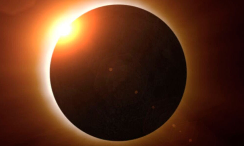 Eclipse solar 2024: ¿Cómo afectará a los animales y plantas?