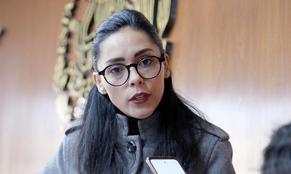 Por concluir David Enrique Menchaca como presidente de CEGAIP