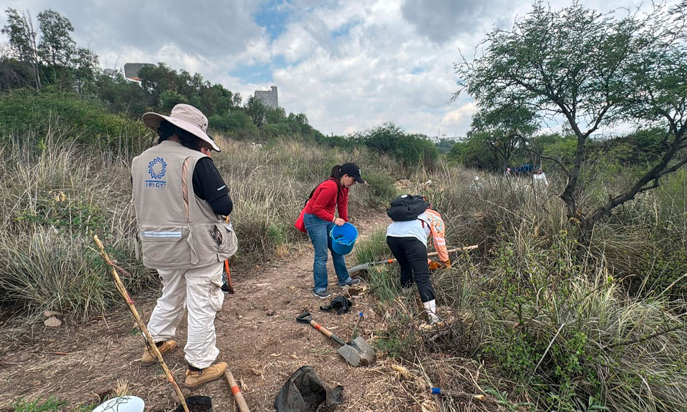 IPICYT impulsa restauración ambiental de Bosque Escuela