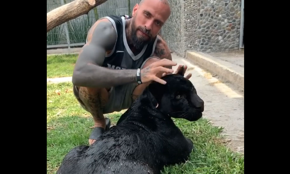 Babo de Cártel de Santa presume en redes a su mascota, una pantera