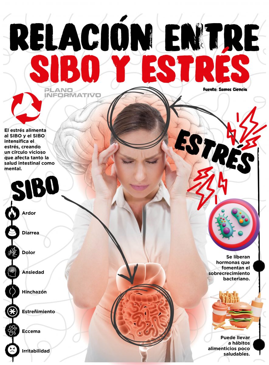 SIBO y Estrés: El Círculo Vicioso