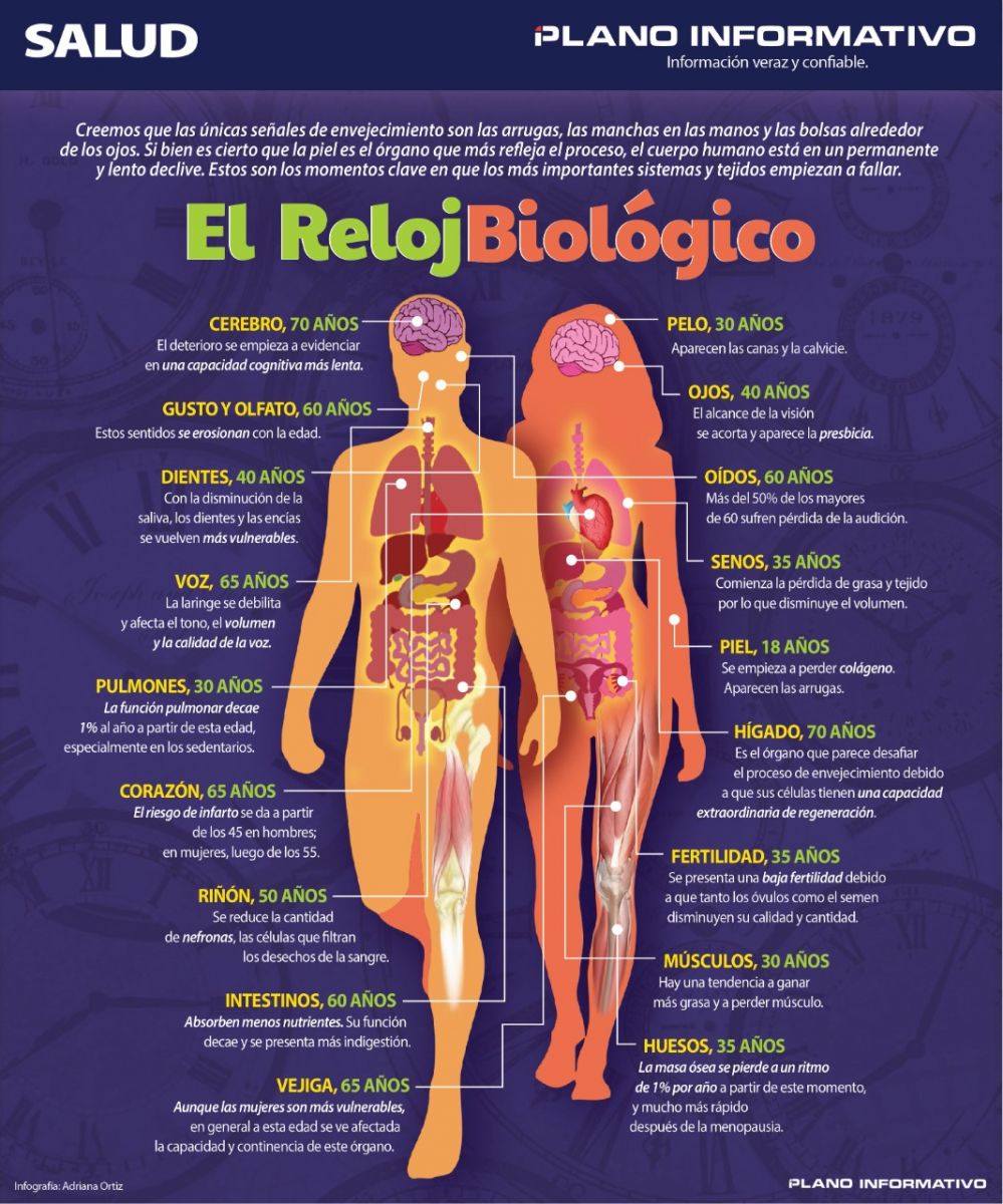 SALUD: El Reloj Biológico