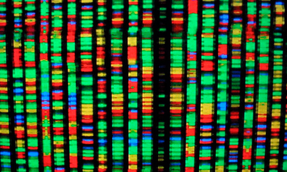 Publican el mapa más completo del epigenoma humano
