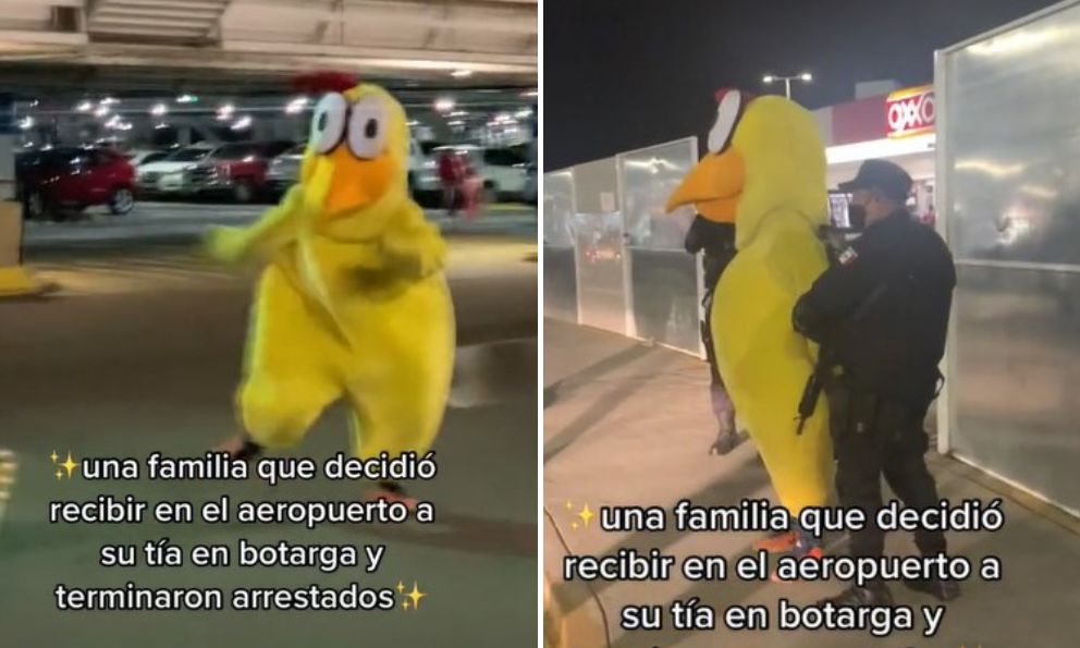 Reciben a su tía en el aeropuerto con botarga de pollo; casi los arrestan